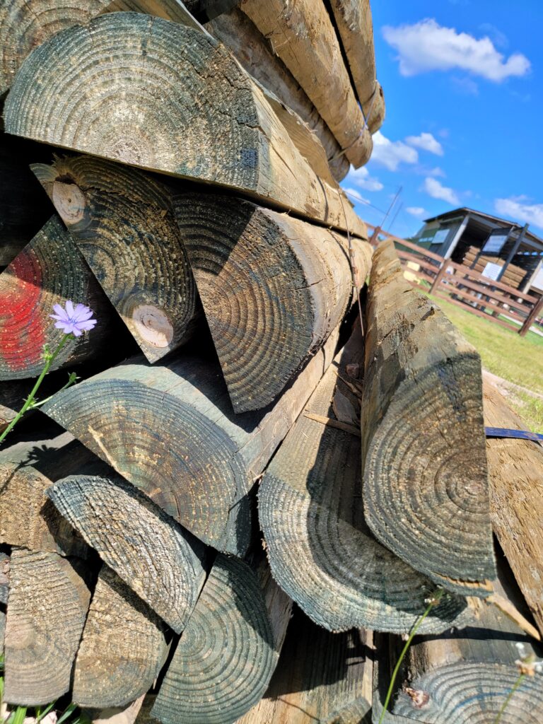 7″- 8″ x 8′ Half Round Treated Fence Post – McArthur Lumber & Post